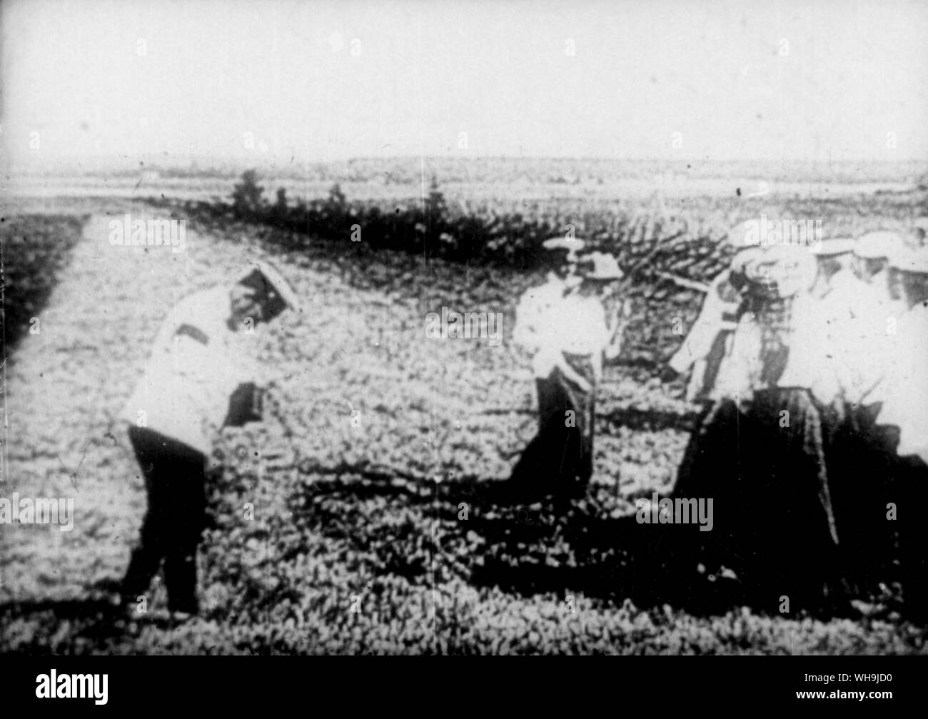 Nicholas II of Russia (1868-1918), Czar from 1894, with his family in the early 20th century ...