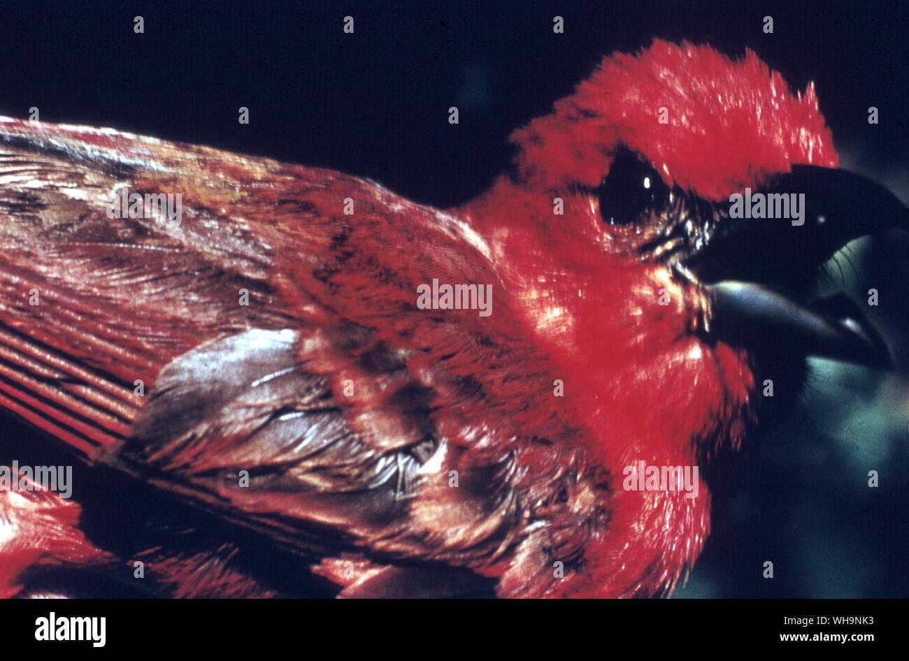 174 2217 hi-res stock photography and images - Alamy