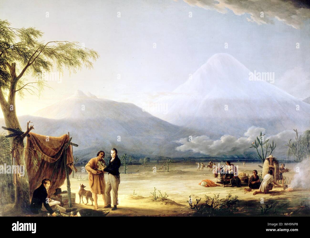 Humboldt and bonpland hi-res stock photography and images - Alamy
