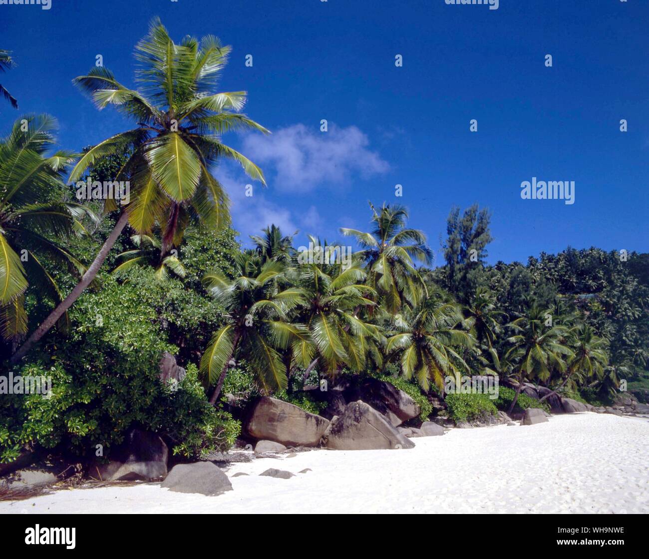 Digue hi-res stock photography and images - Alamy