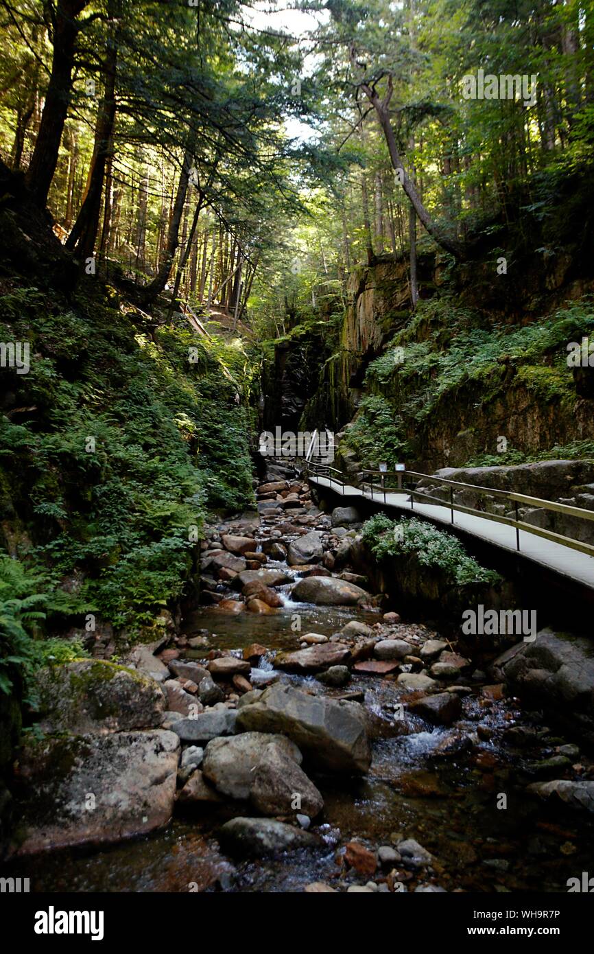 A morning photo of the flume gorge in the White mountains Stock Photo ...