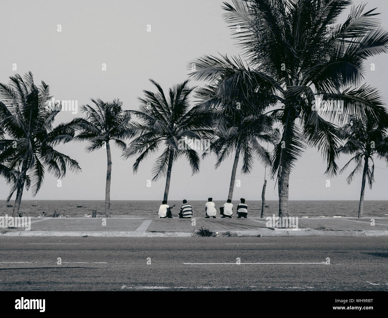 People palm tree hi-res stock photography and images - Alamy