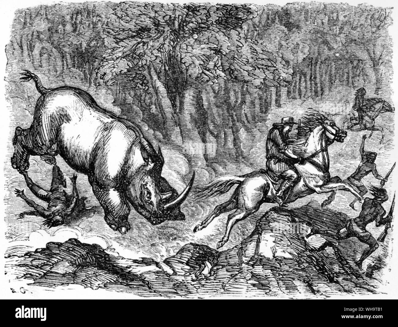 Tributaries hi-res stock photography and images - Alamy