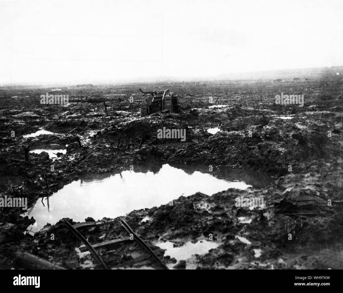 Passchendaele ridge hi-res stock photography and images - Alamy