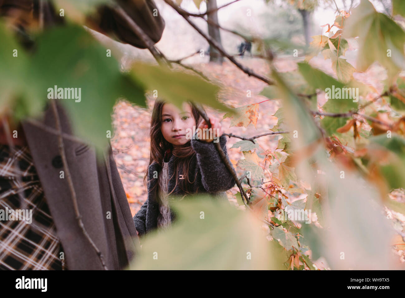 Portrait of little girl in autumn Stock Photo - Alamy