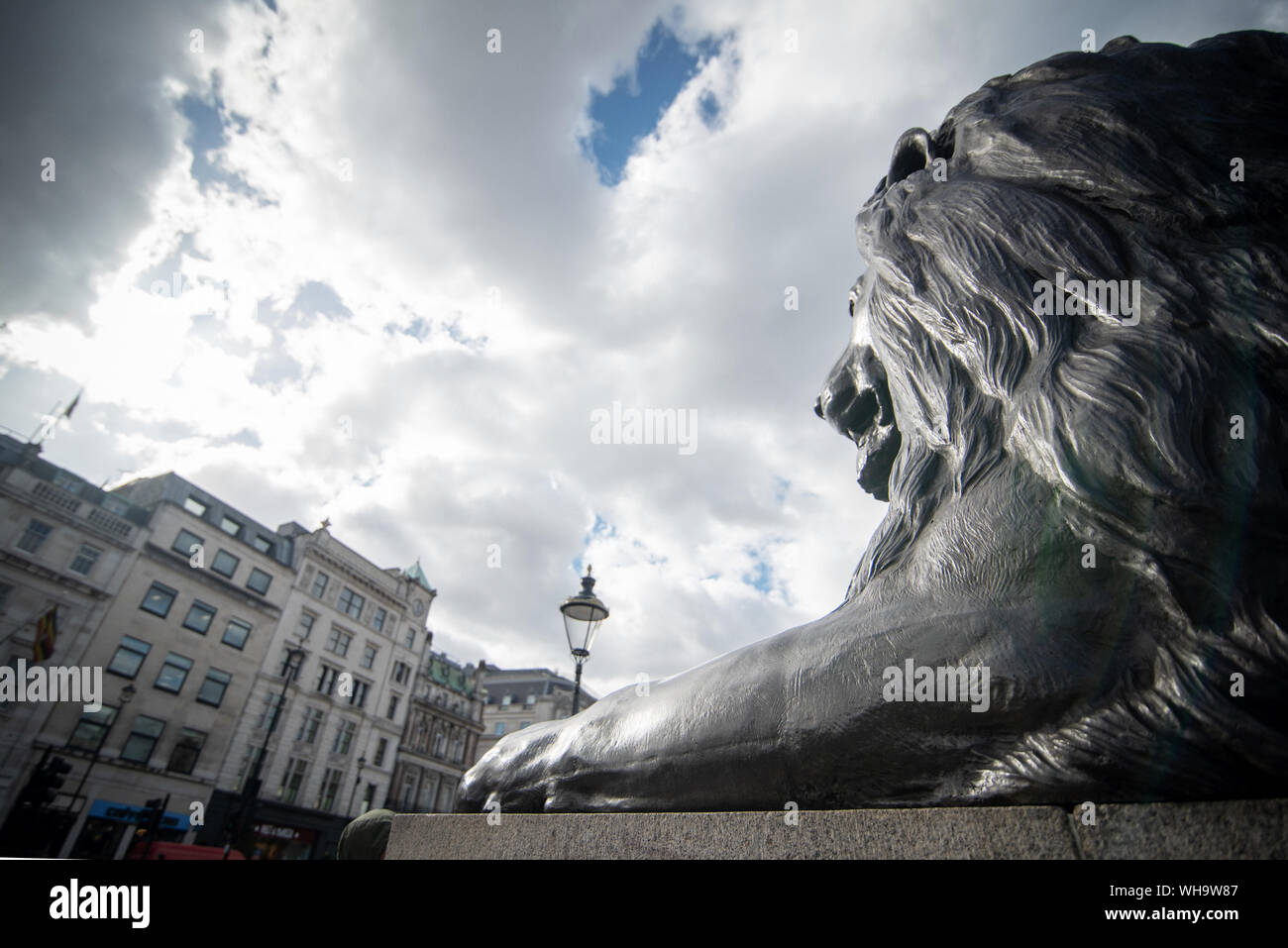 London lion sculpture hi-res stock photography and images - Alamy