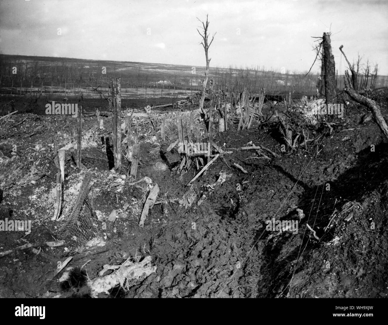 Battle of ancre hi-res stock photography and images - Alamy