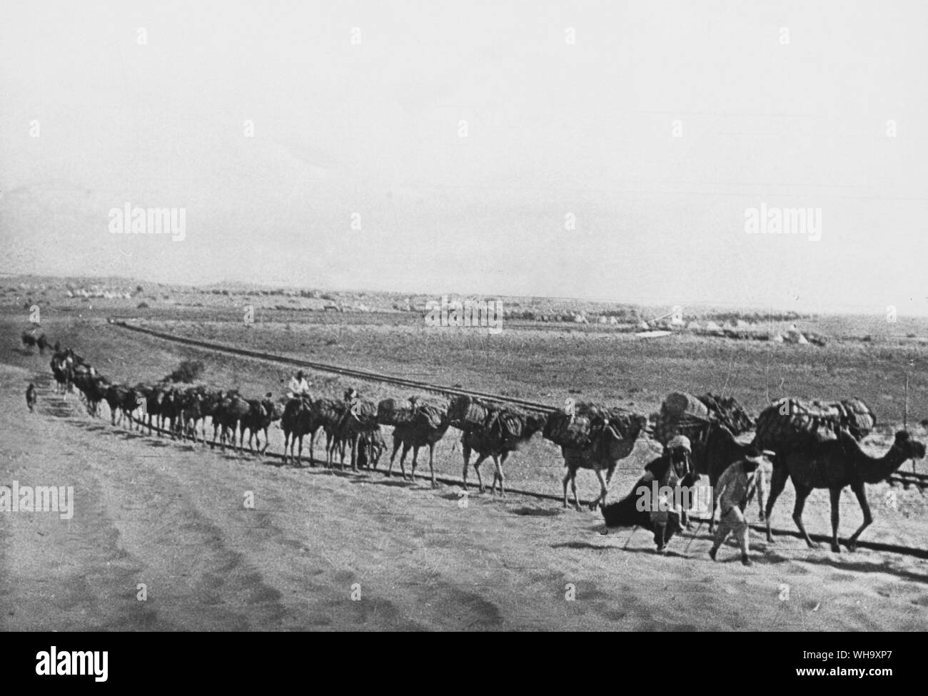 Camel transport hi-res stock photography and images - Alamy
