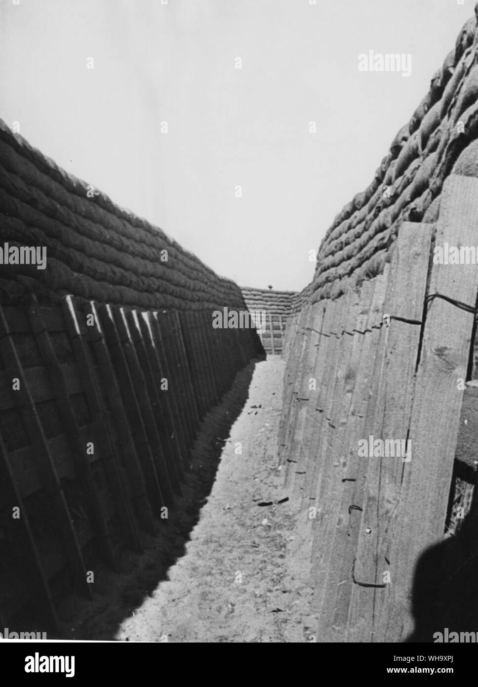 WW1: A trench in the Suez Canal defences, Spring 1916 Stock Photo - Alamy