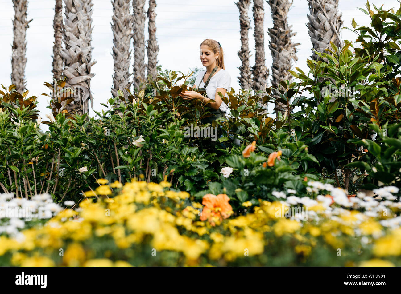 Caring flowers hi-res stock photography and images - Alamy