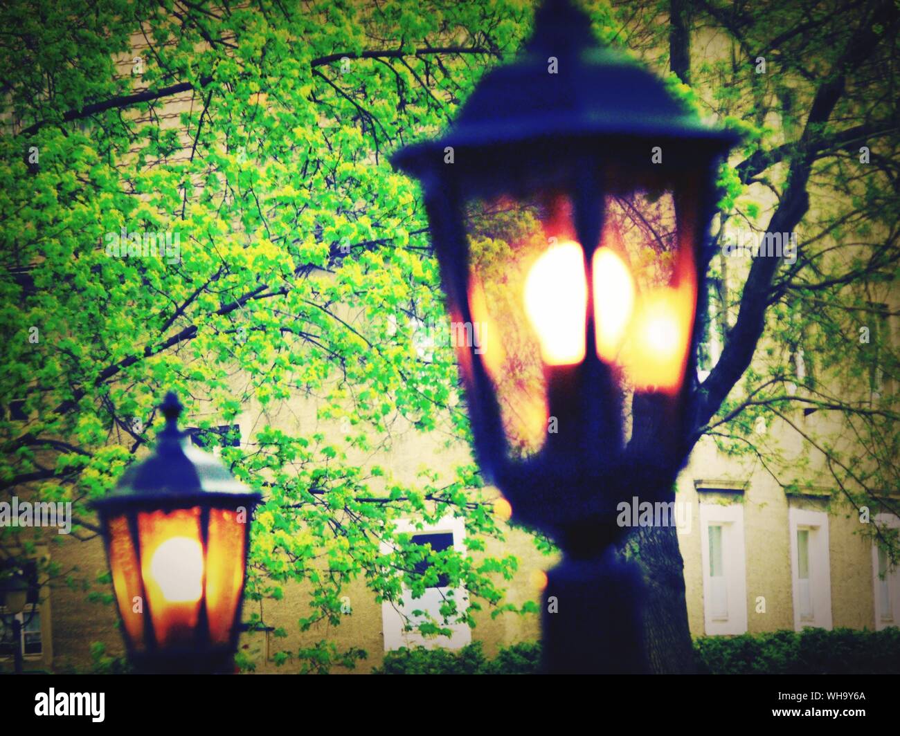 Glowing lights in park hi-res stock photography and images - Alamy
