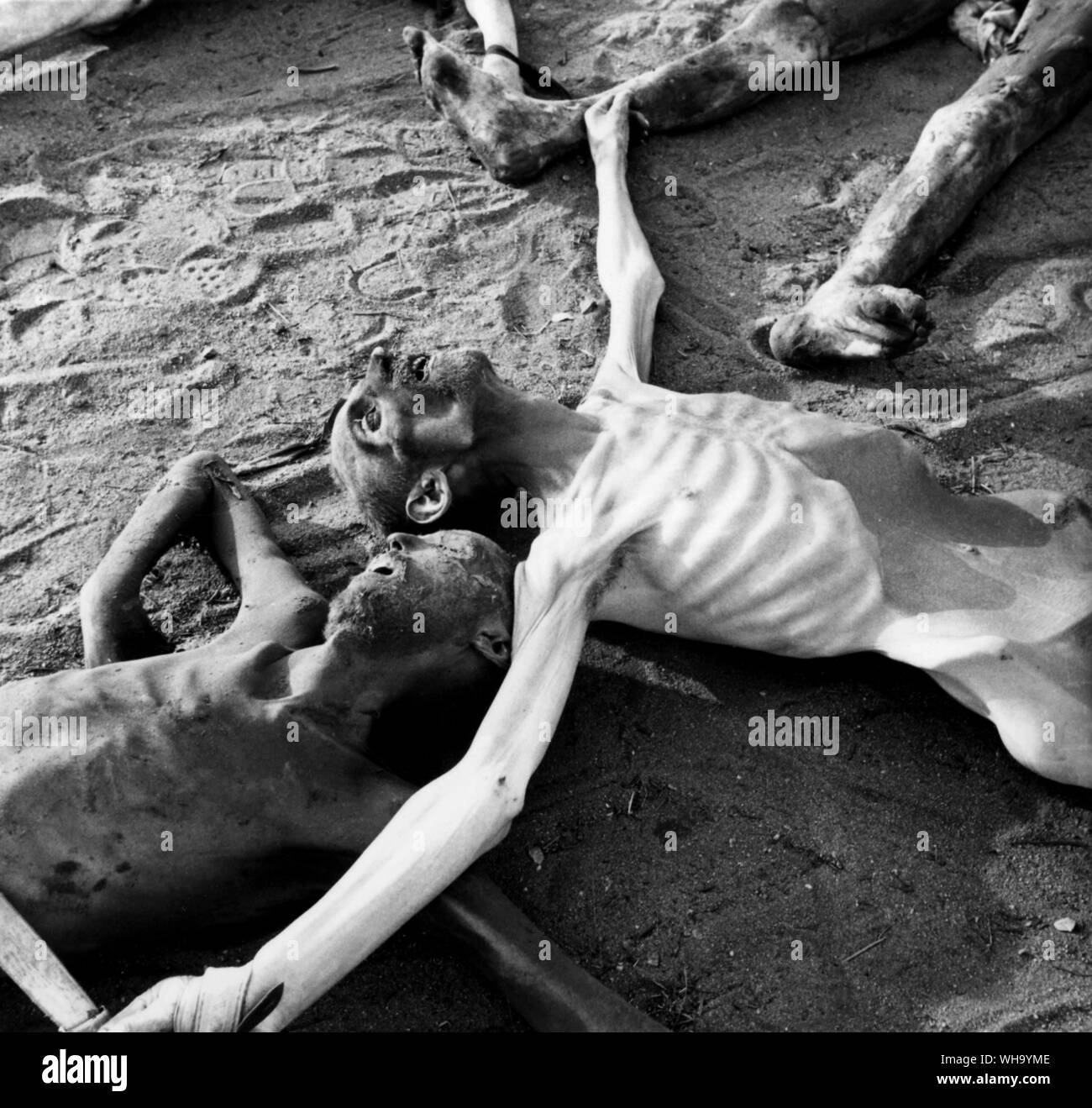 Close up two ww2 Black and White Stock Photos & Images - Alamy