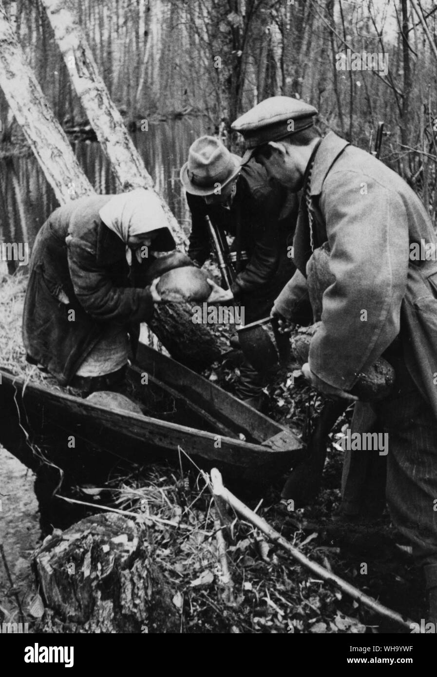 WW2: 1944. A peasant woman has brought bread for the partisans Stock ...