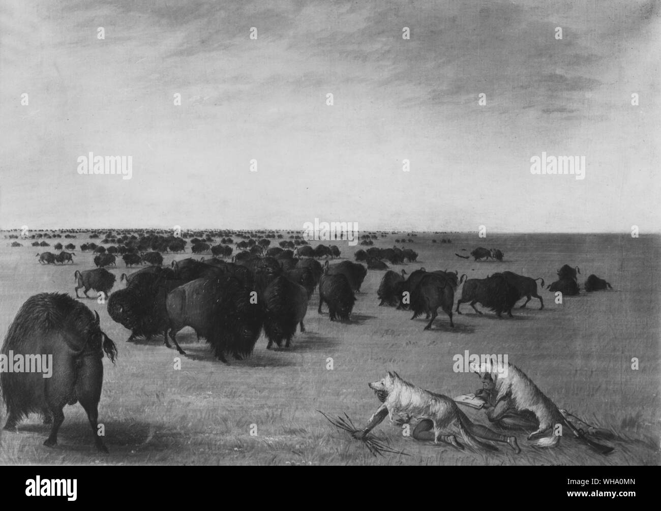 Buffalo hunting hi-res stock photography and images - Alamy