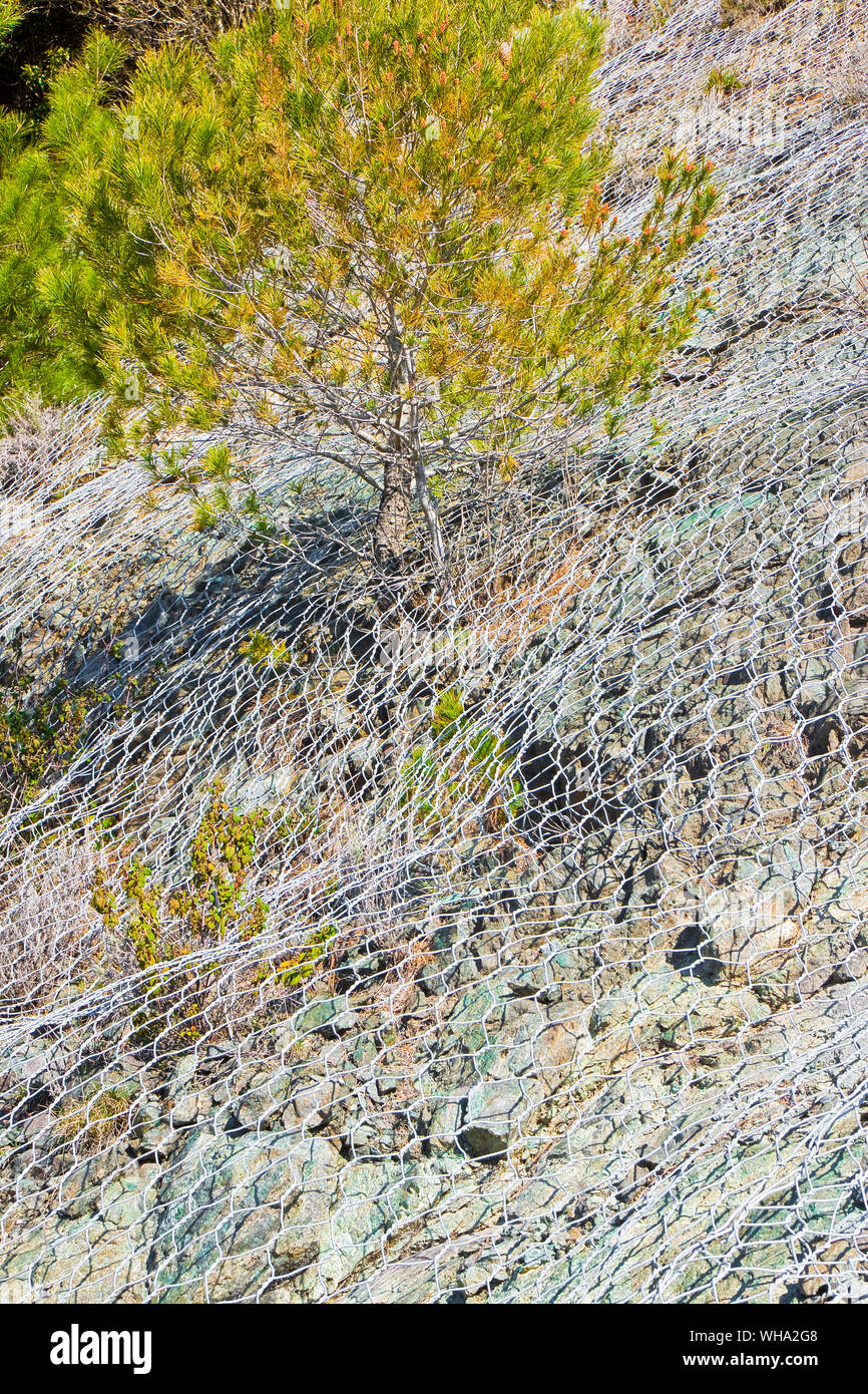 Wire mesh rockslide hi-res stock photography and images - Alamy