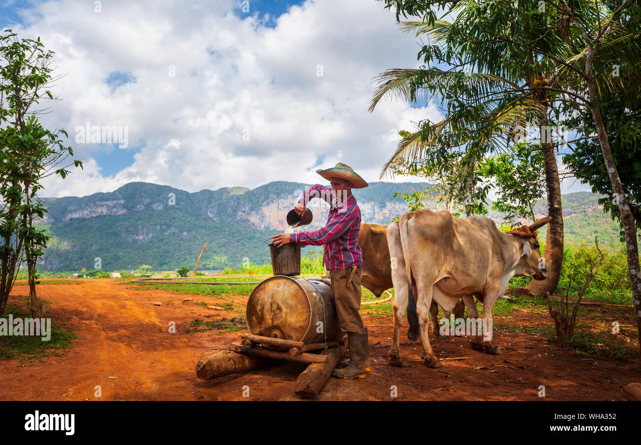Farmer with work clothes drawing water from old well in Vinales ...