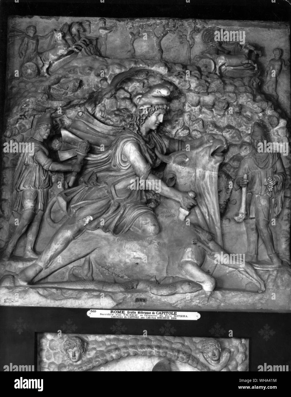 Phaedra hi-res stock photography and images - Alamy