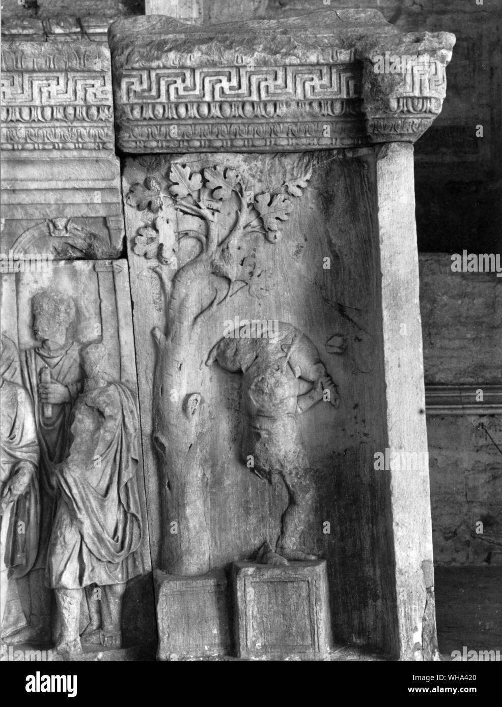 Fig Tree of Romulus on reliefs in the Curia Stock Photo - Alamy