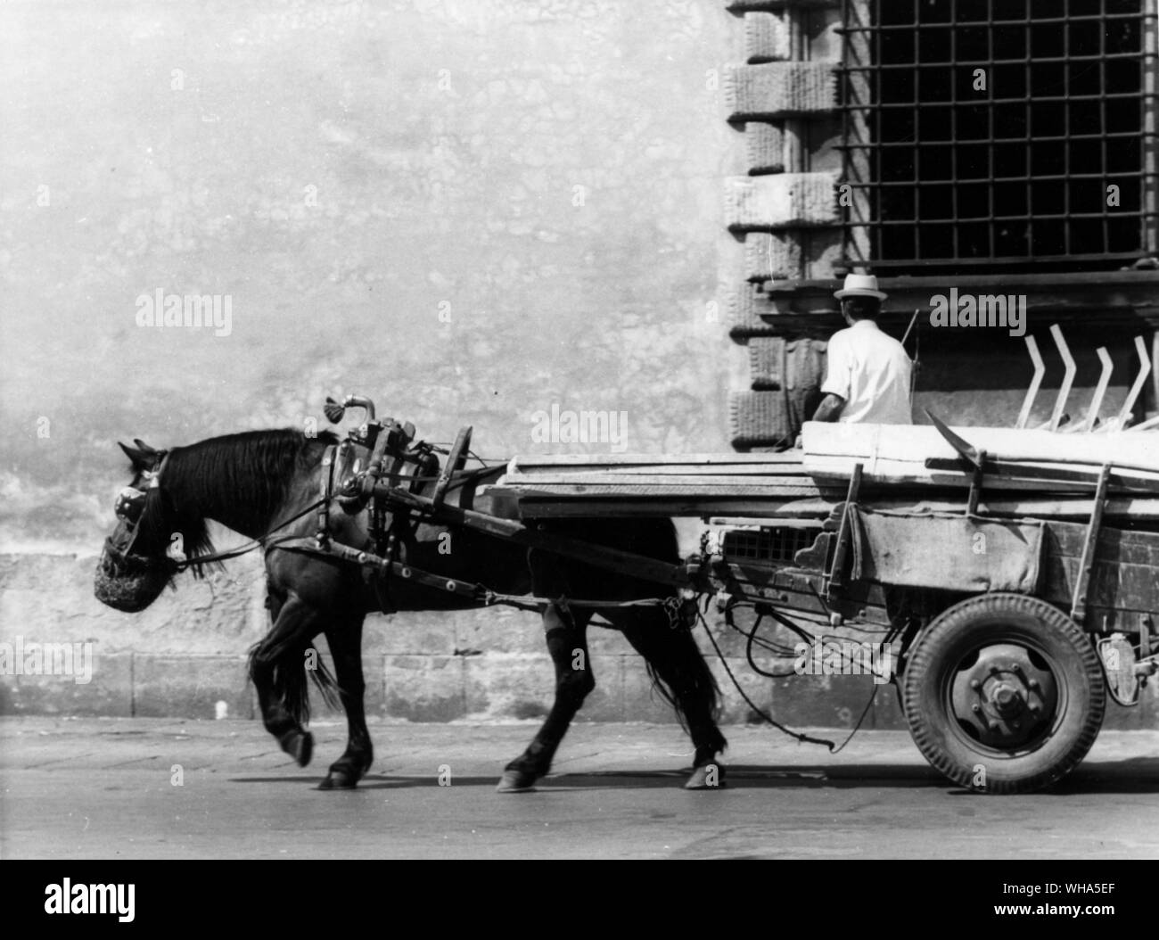 Horse pulling cart hi-res stock photography and images - Alamy