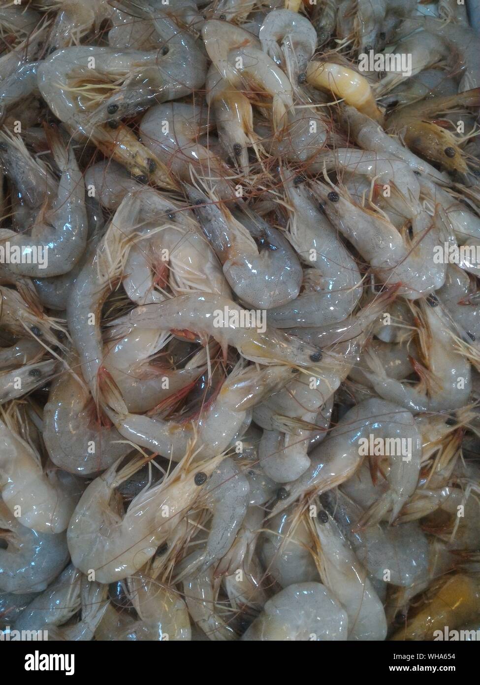 Shrimp close hi-res stock photography and images - Alamy
