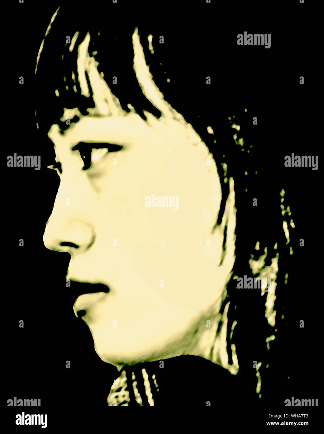 Pop art style attractive young asian woman side view close up portrait ...