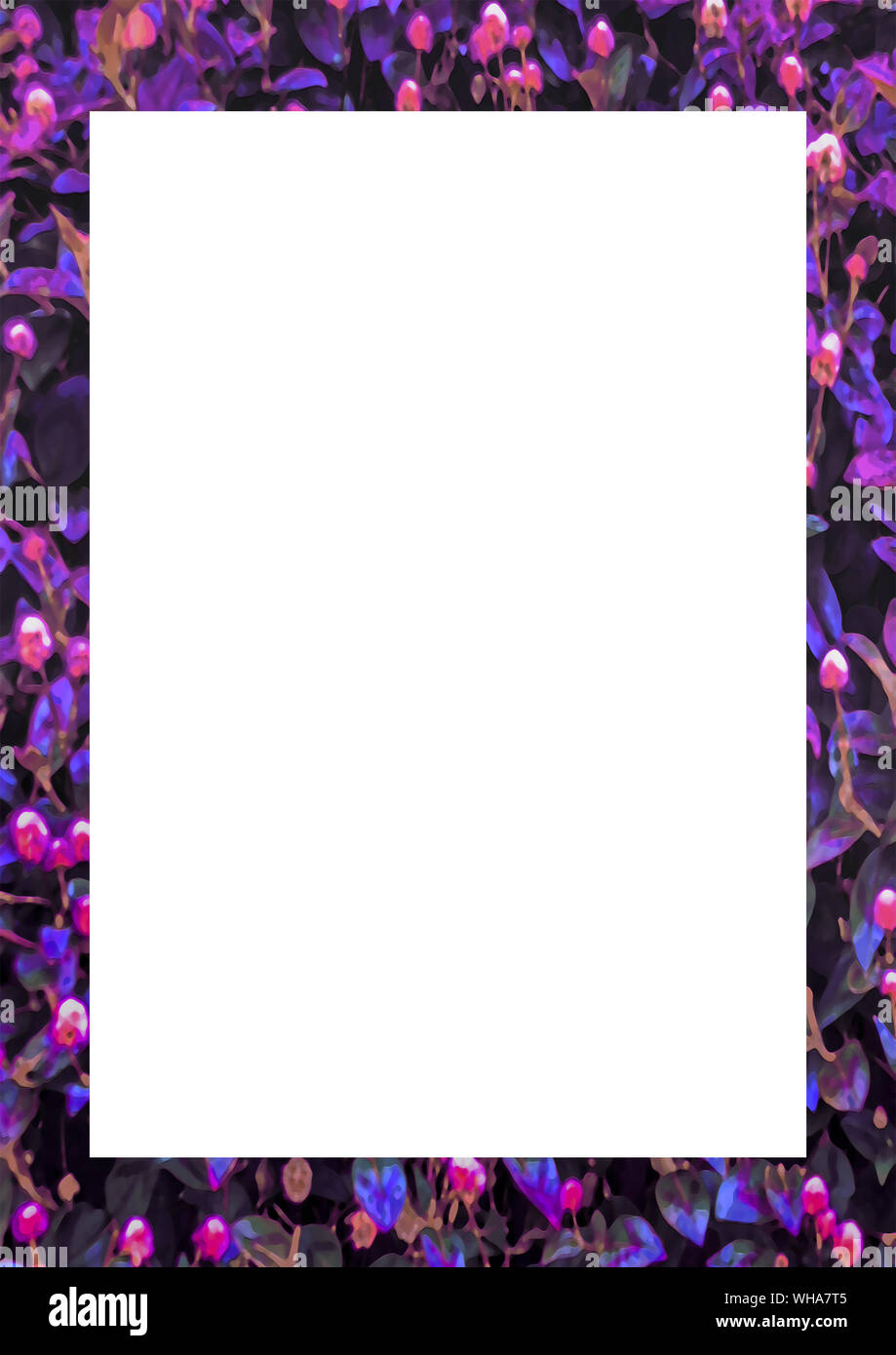 White frame background with decorated design borders Stock Photo - Alamy