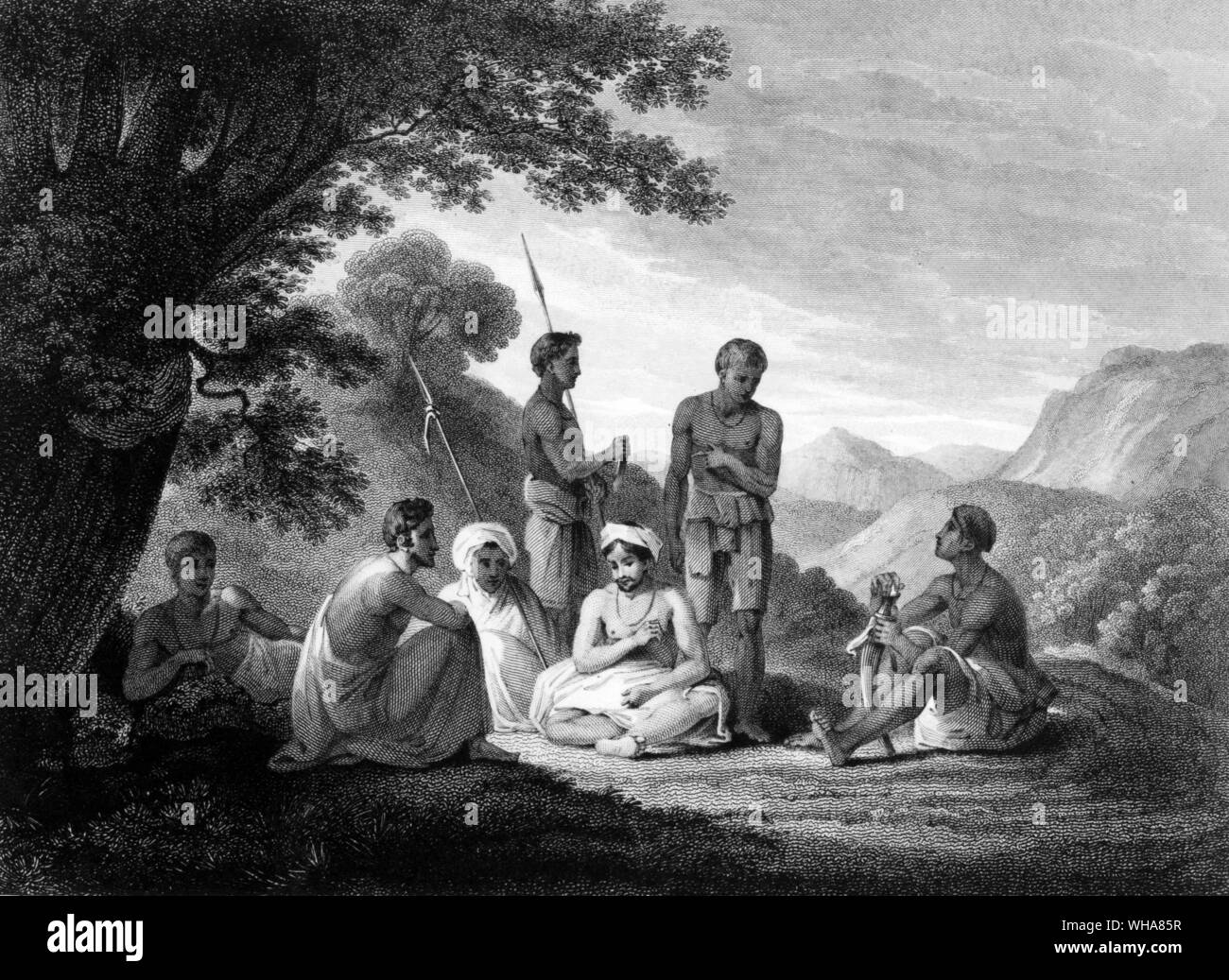 Abyssinians reposing hi-res stock photography and images - Alamy