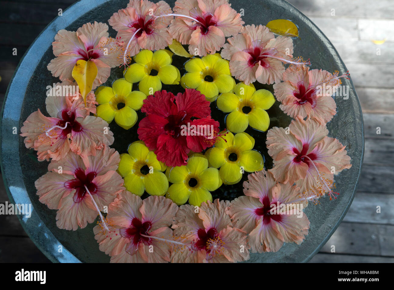 Spa flowers in the water detail Stock Photo - Alamy