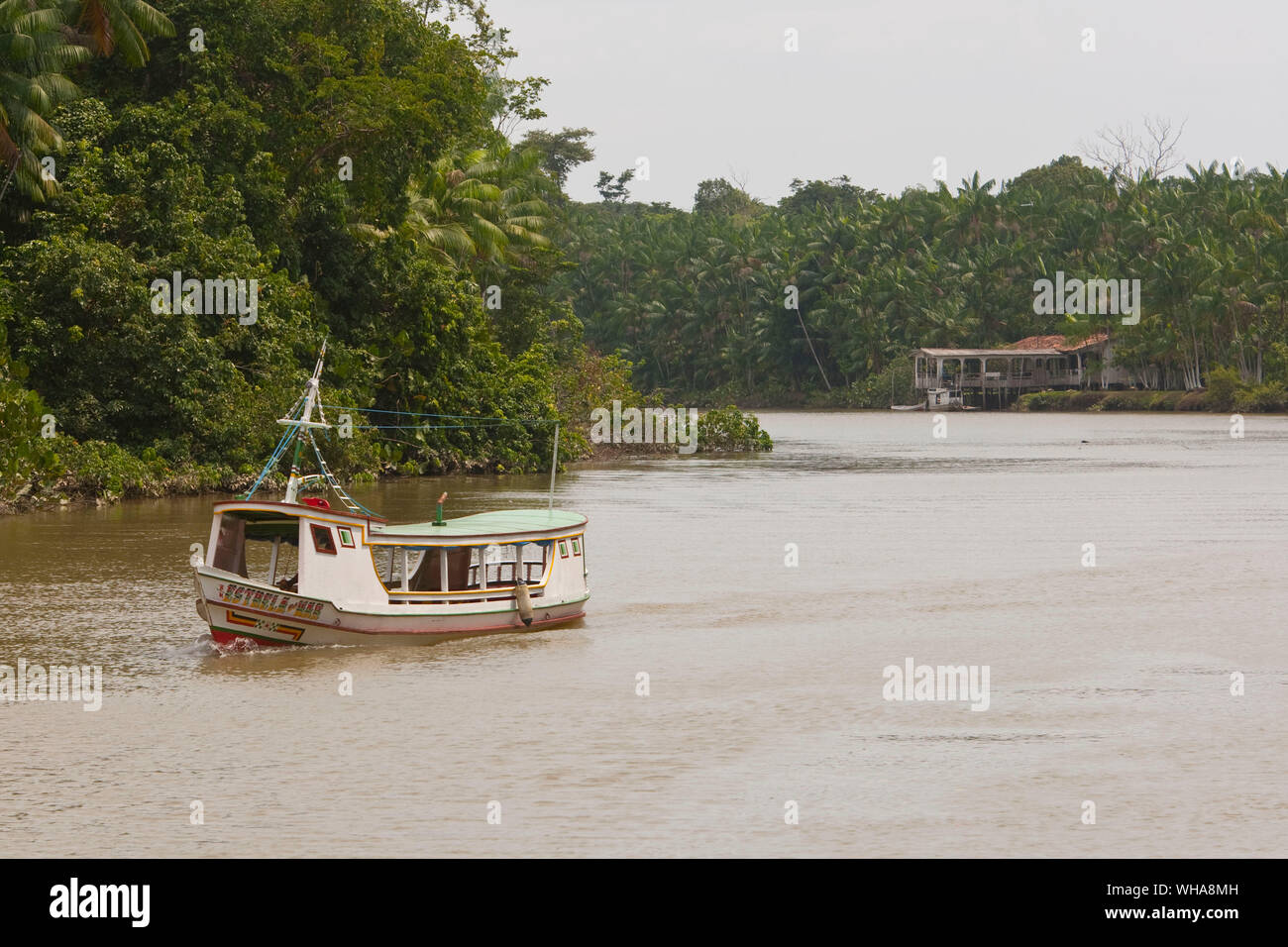 Brazilian amazon region hi-res stock photography and images - Alamy