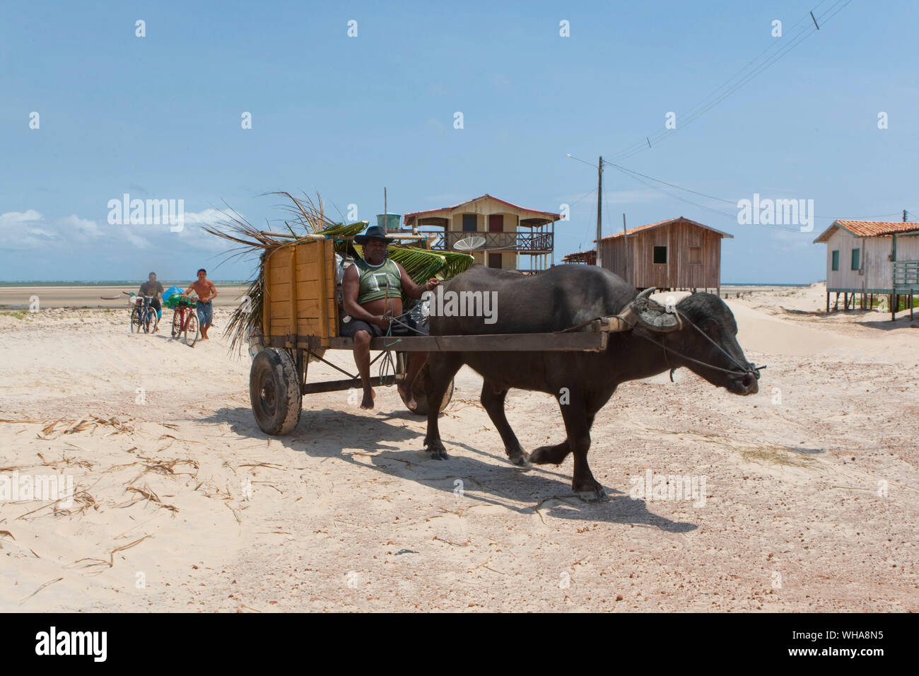 Tree wagons hi-res stock photography and images - Alamy