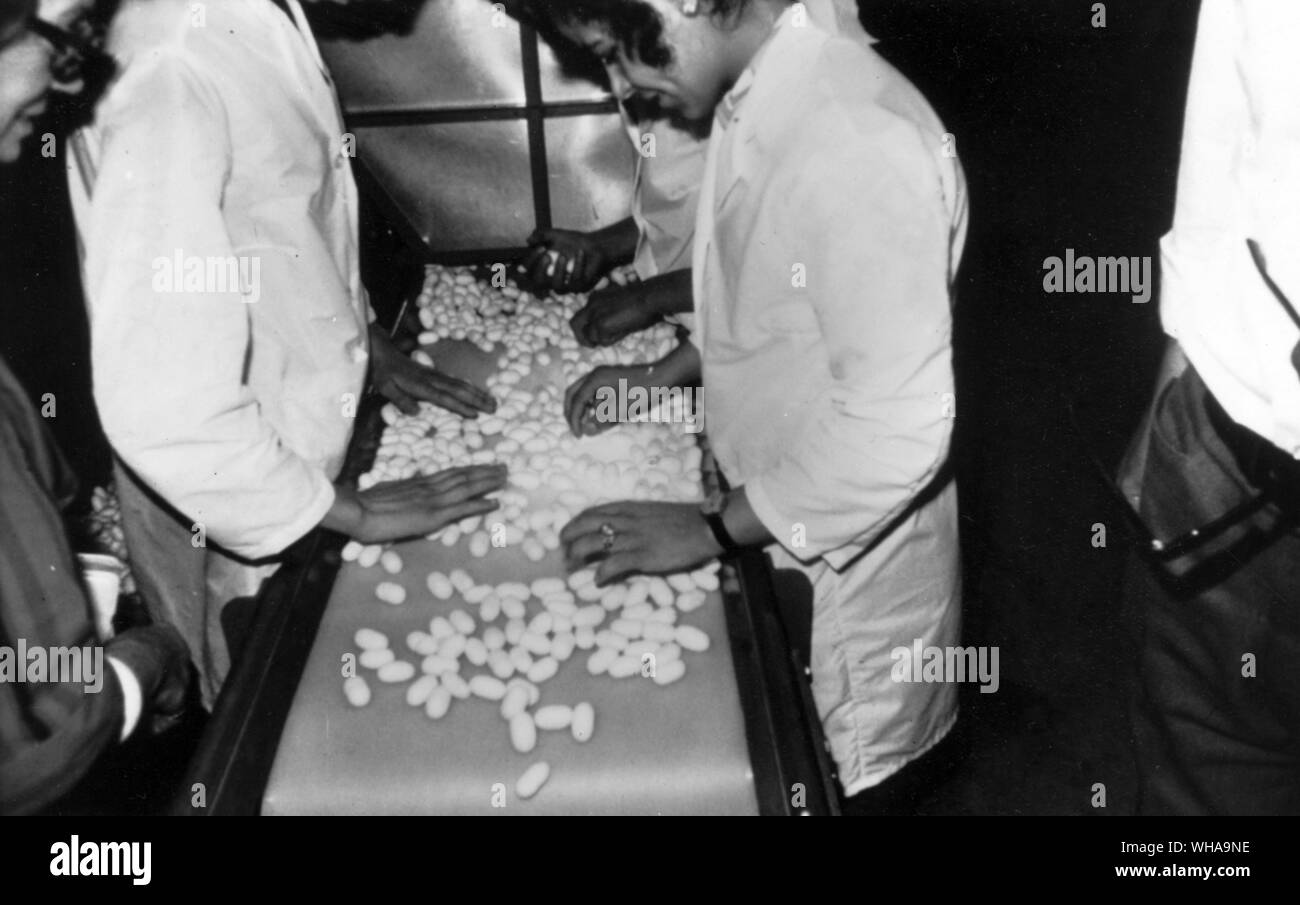 Sorting hi-res stock photography and images - Alamy