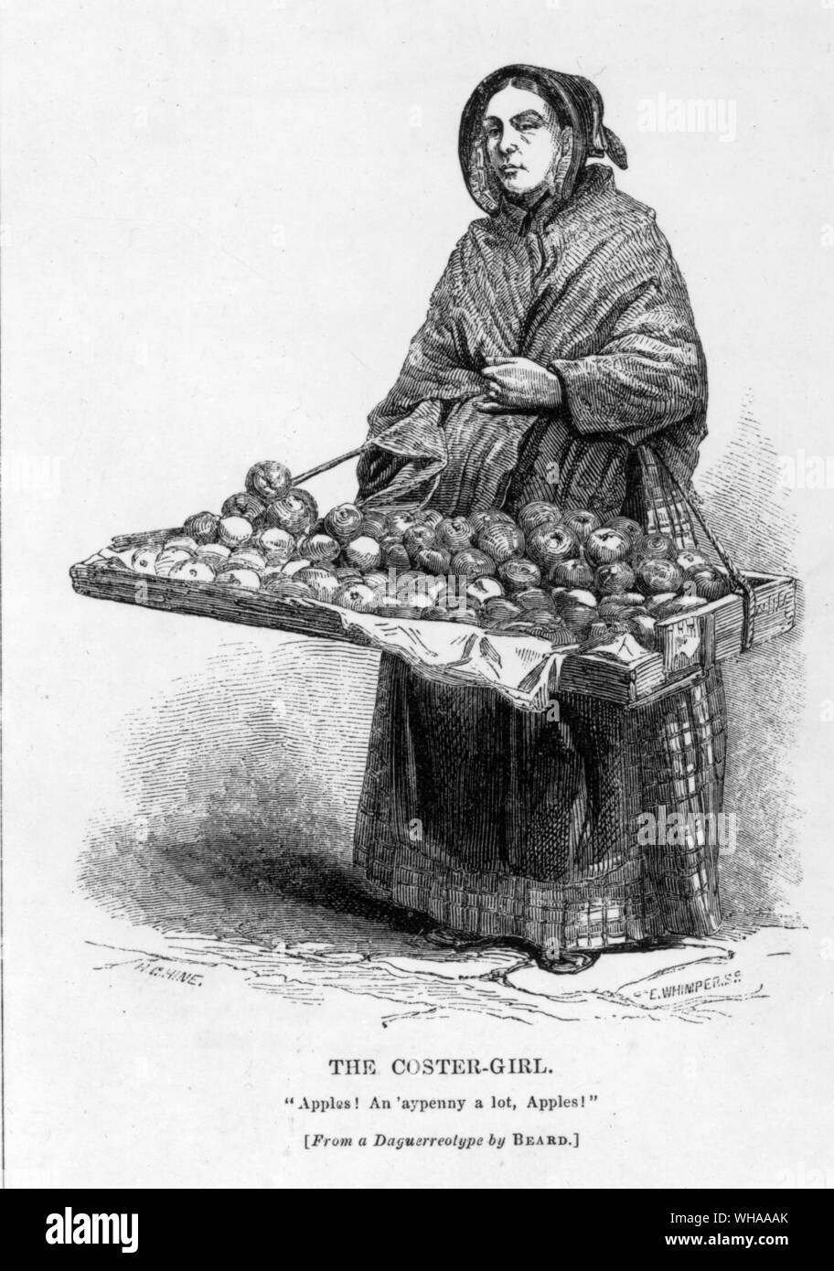 The Coster Girl. 1851 Stock Photo - Alamy
