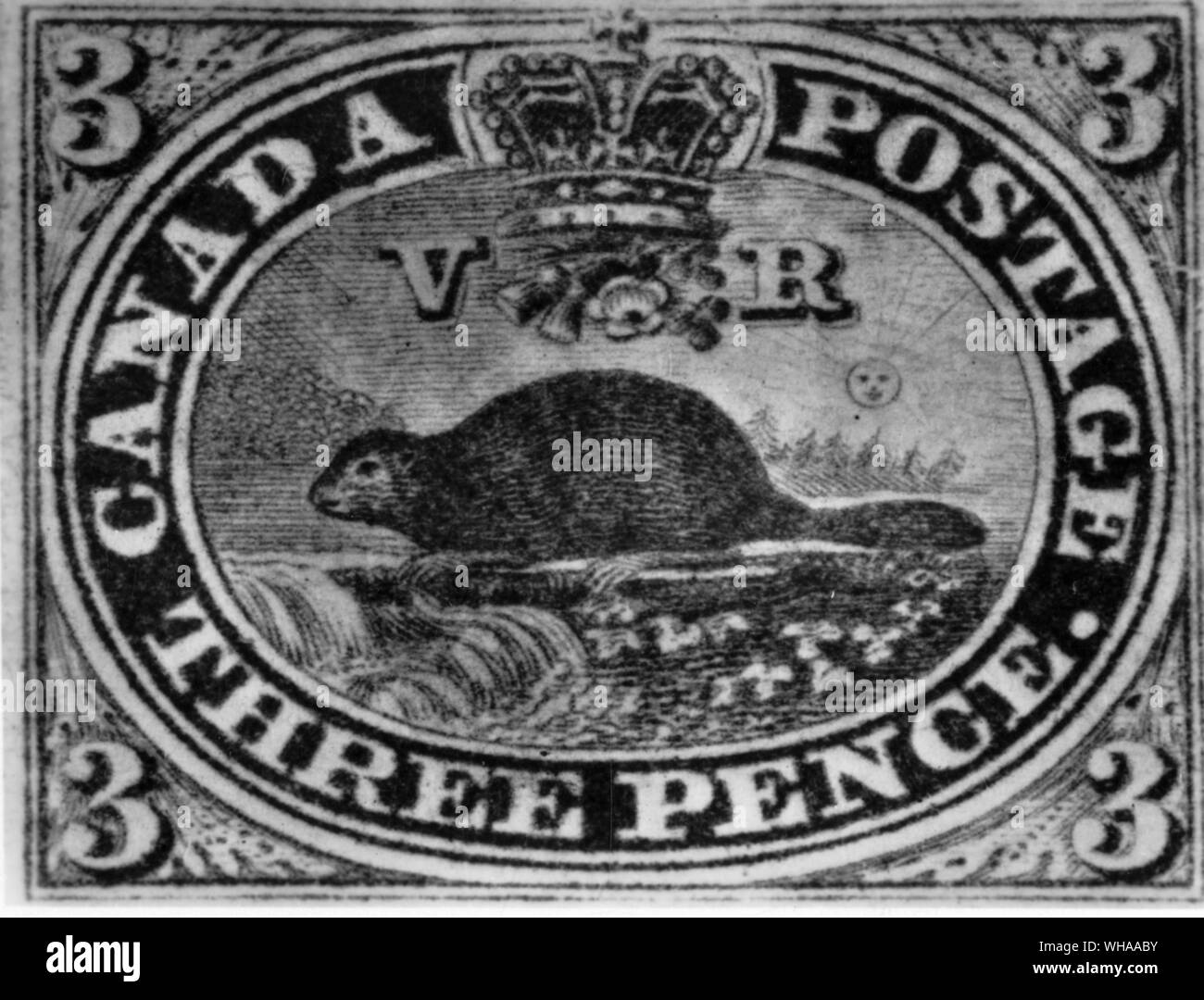 Canada beaver stamp hi-res stock photography and images - Alamy