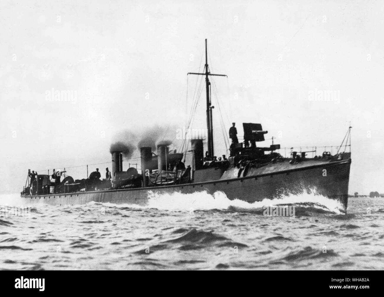 Hornet image Black and White Stock Photos & Images - Alamy