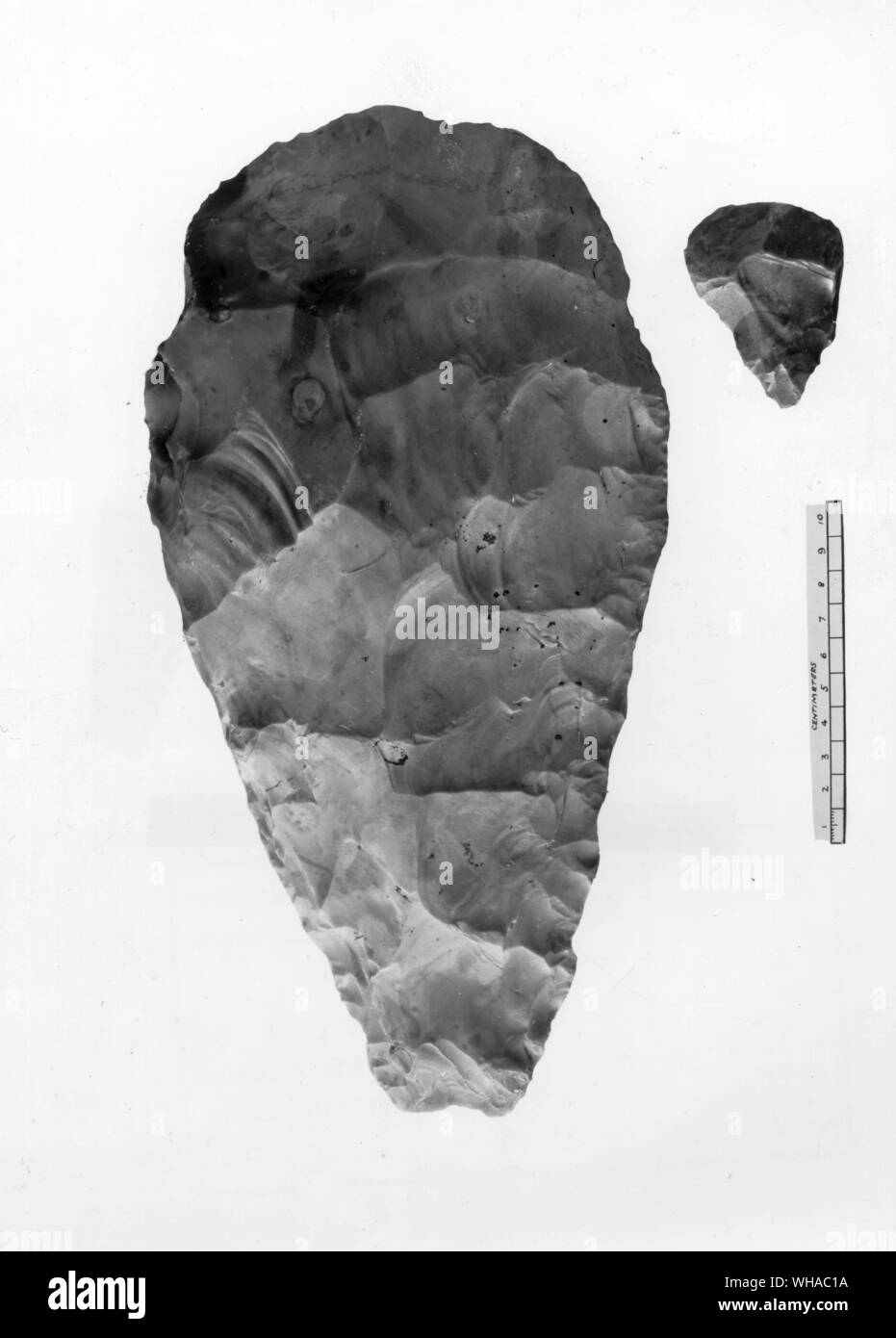 Palaeolithic hand axe Black and White Stock Photos & Images - Alamy