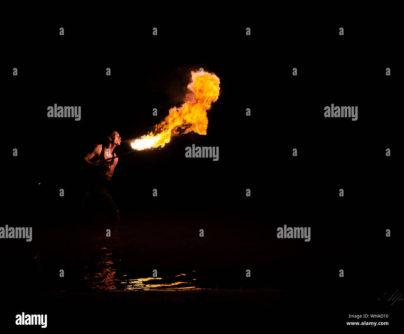 People eater hi-res stock photography and images - Alamy