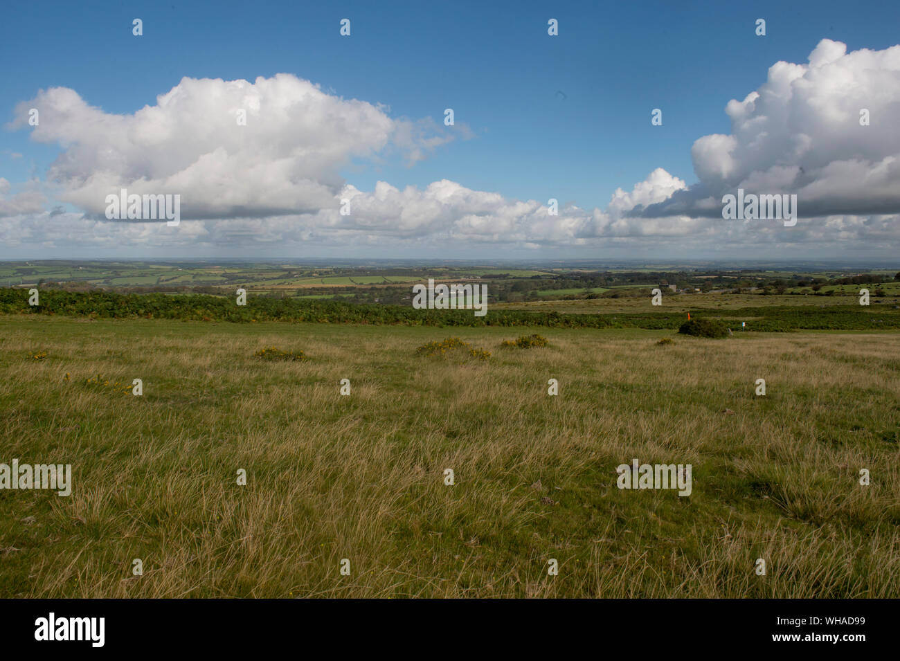 sourton ,dartmoor uk Stock Photo - Alamy