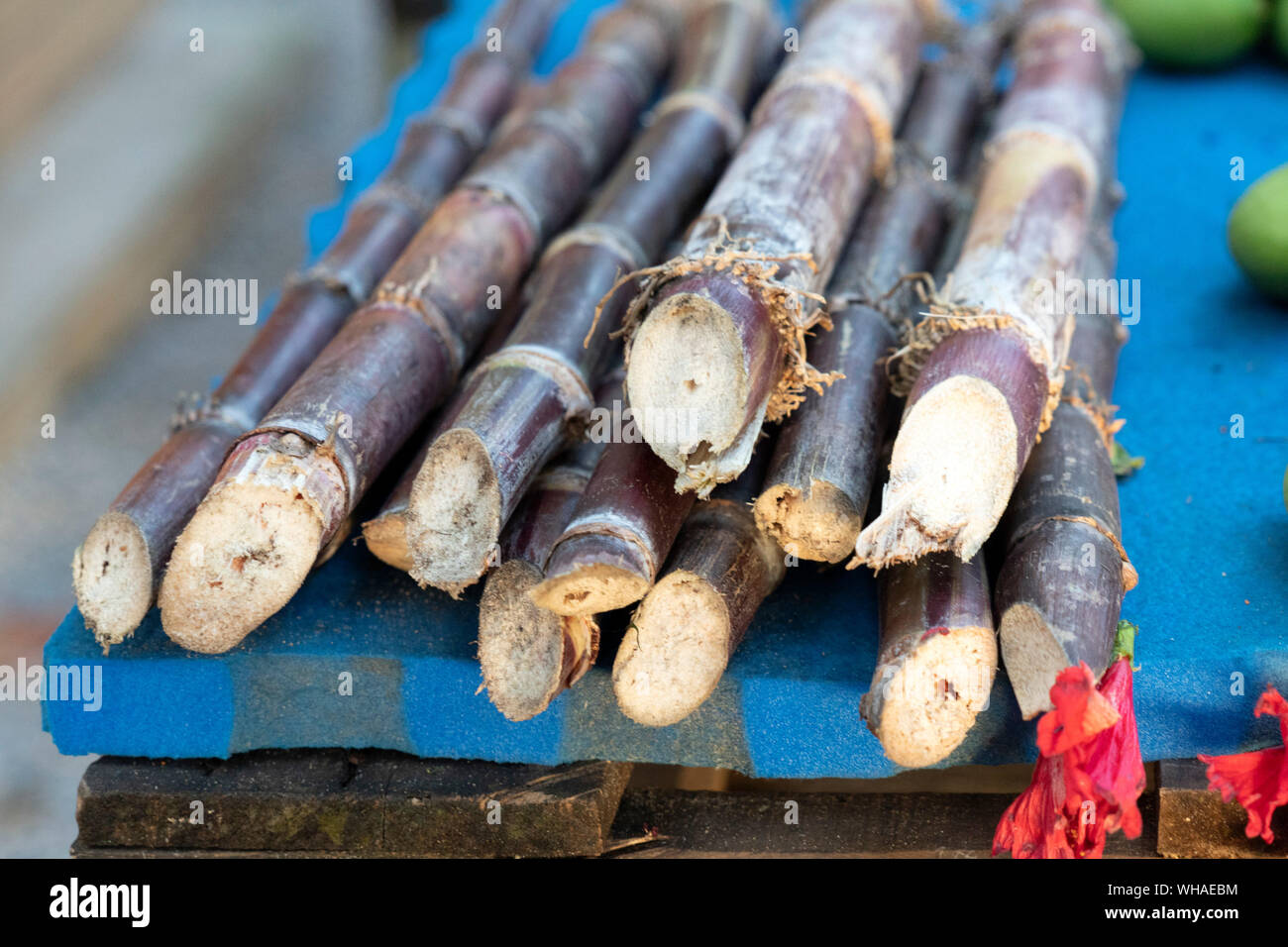 sugar cane many tropical fruit types at the market in seychelles Stock ...
