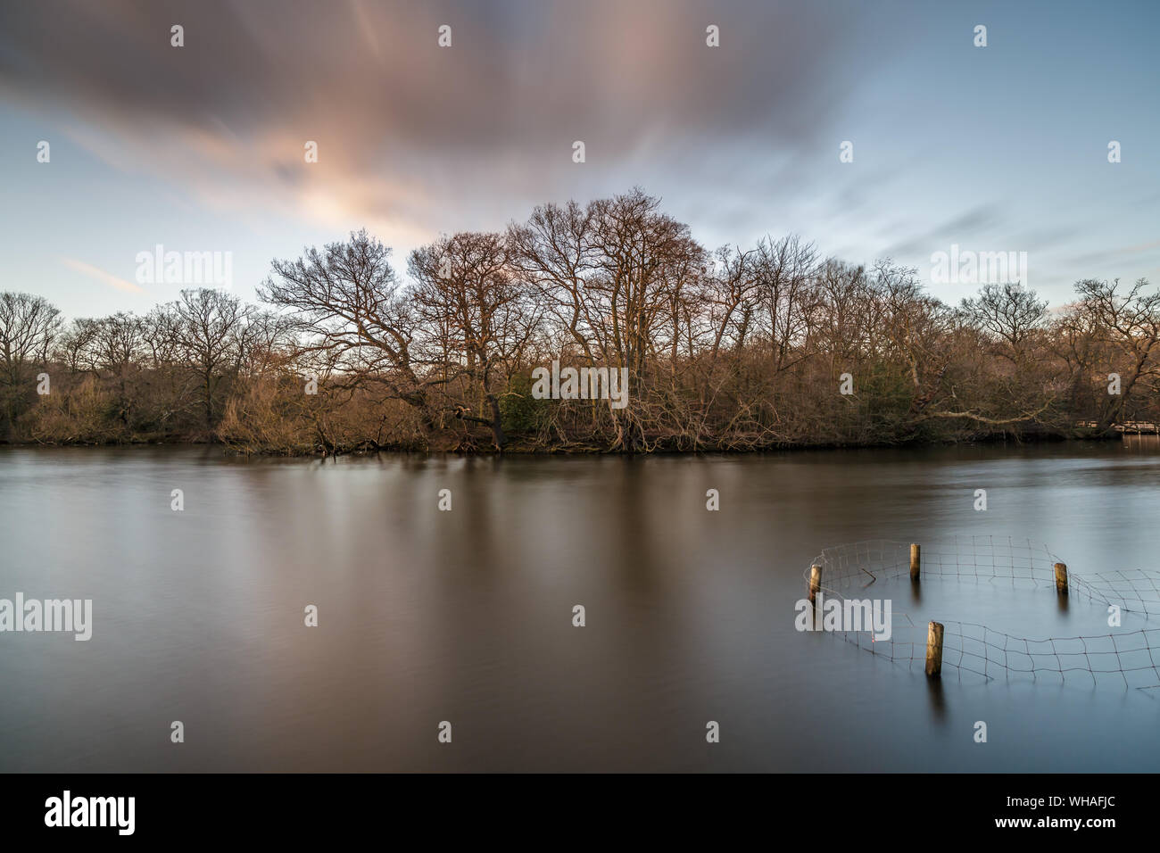 Chingford london hi-res stock photography and images - Alamy