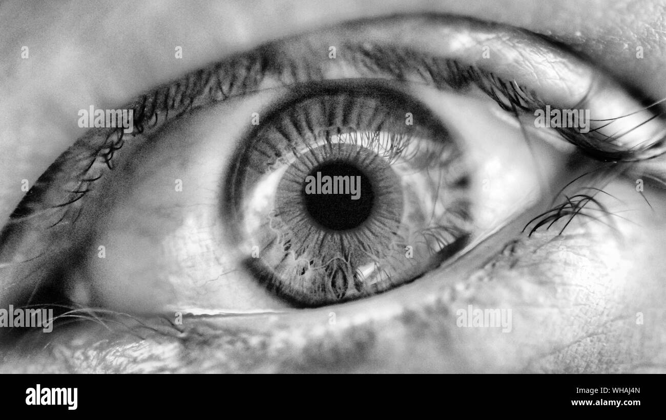 Human eye retina Black and White Stock Photos & Images - Alamy