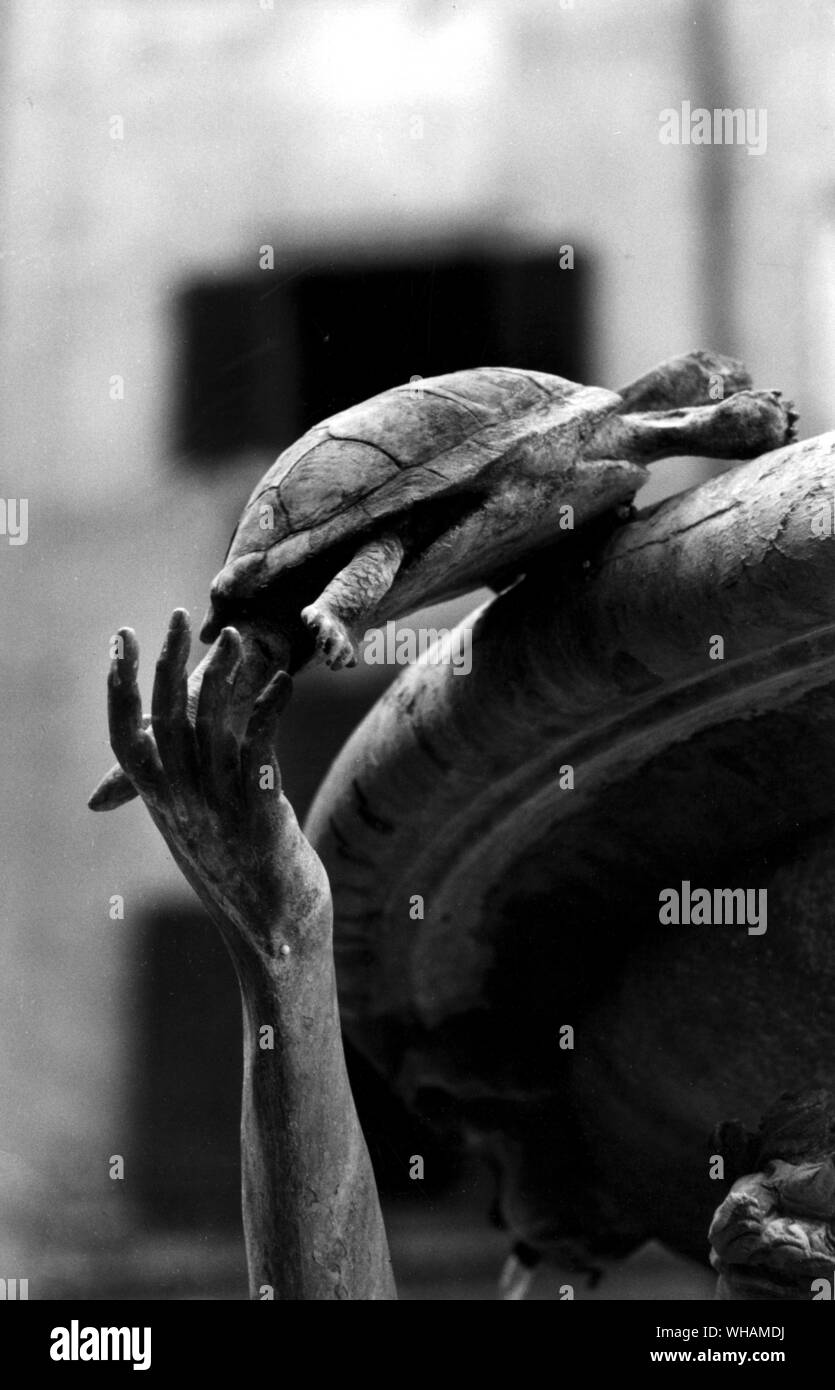 Fountain of the Tortoises in the Piazza Mattei Stock Photo - Alamy