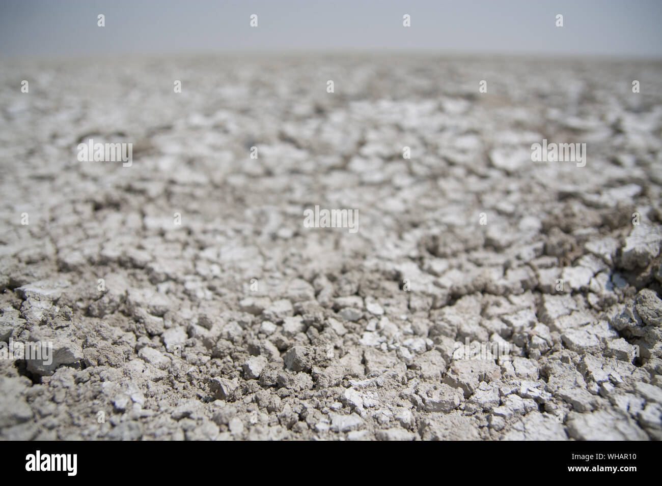 Dried up soil hi-res stock photography and images - Alamy