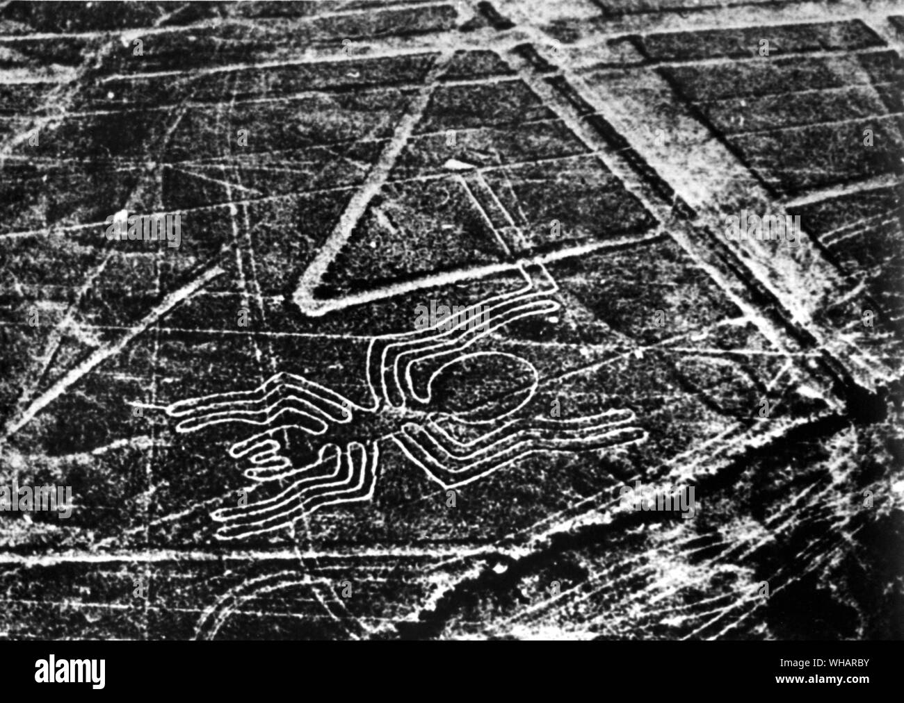 Nazca lines peru hi-res stock photography and images - Alamy