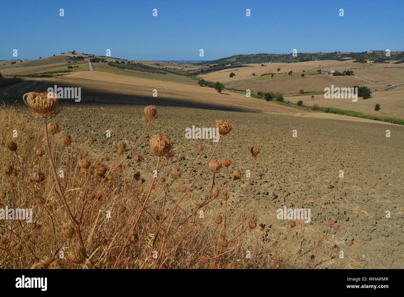 Arid mediterranean landscapes hi-res stock photography and images - Alamy