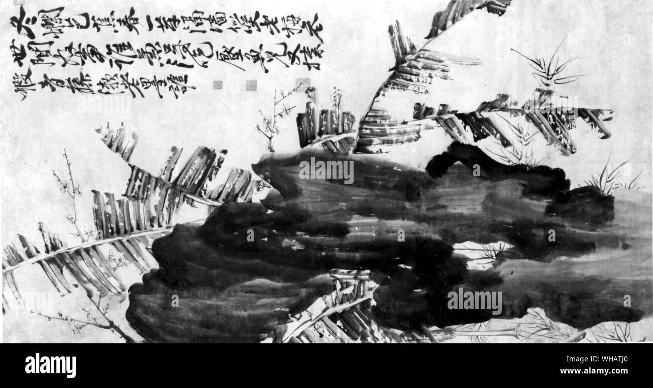 A banana plant. Hsu Wei Stock Photo - Alamy