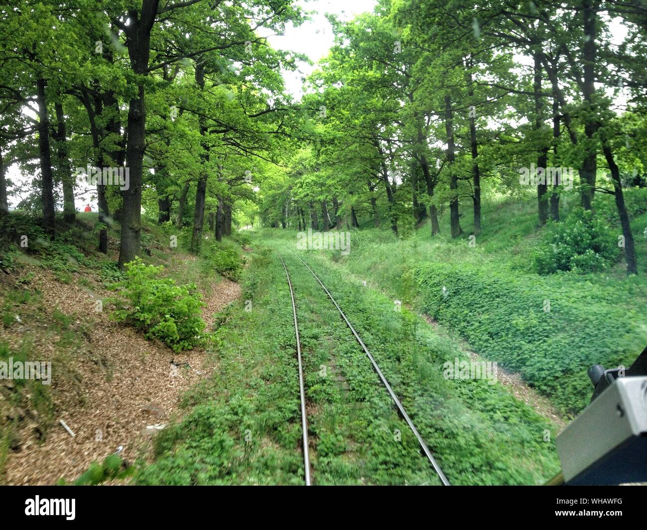 Train track into forest hi-res stock photography and images - Alamy