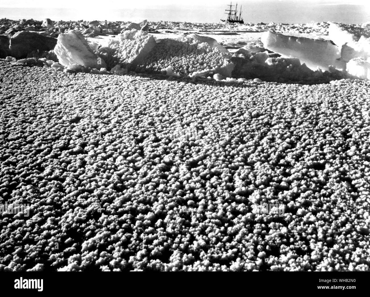 Spring in south Black and White Stock Photos & Images - Alamy