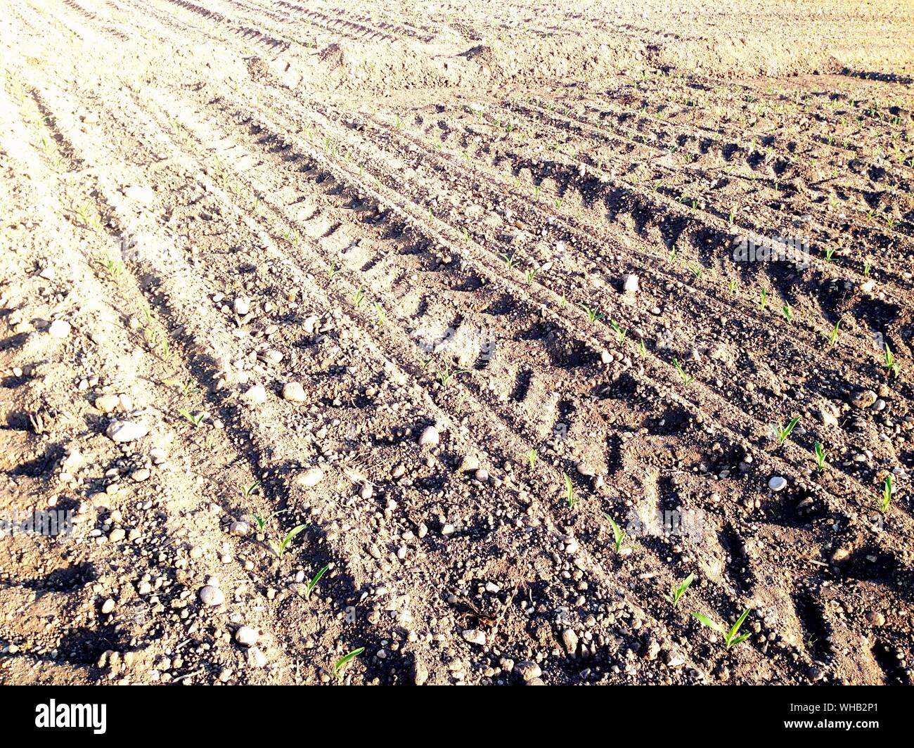 Farm tracks hi-res stock photography and images - Alamy