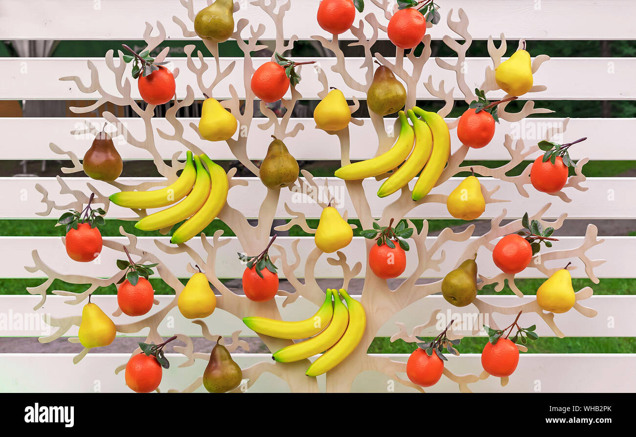 Conceptual tree with various fruits. Bananas, oranges, pears, on a ...