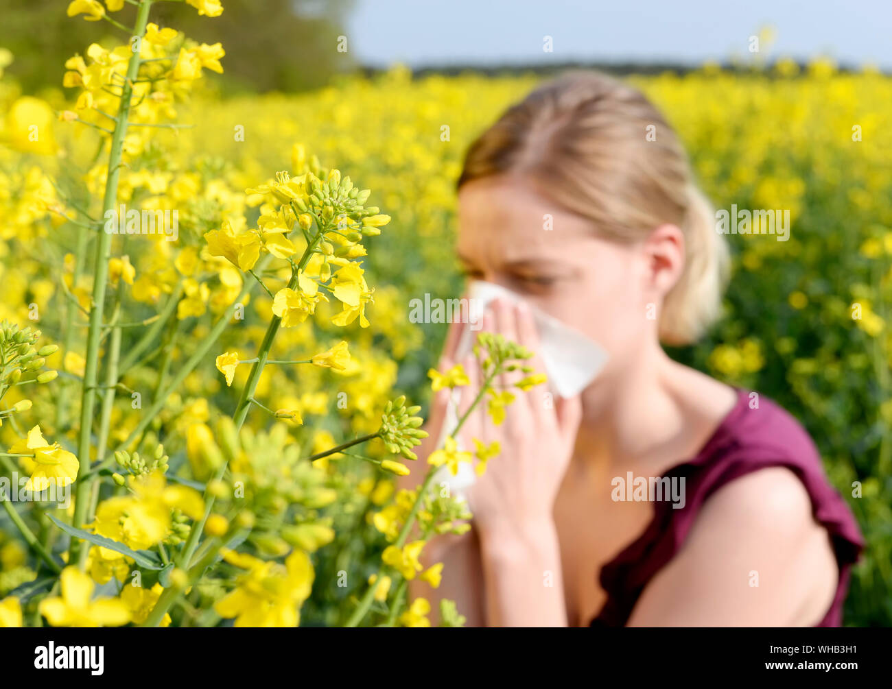 Yellow nose hi-res stock photography and images - Alamy